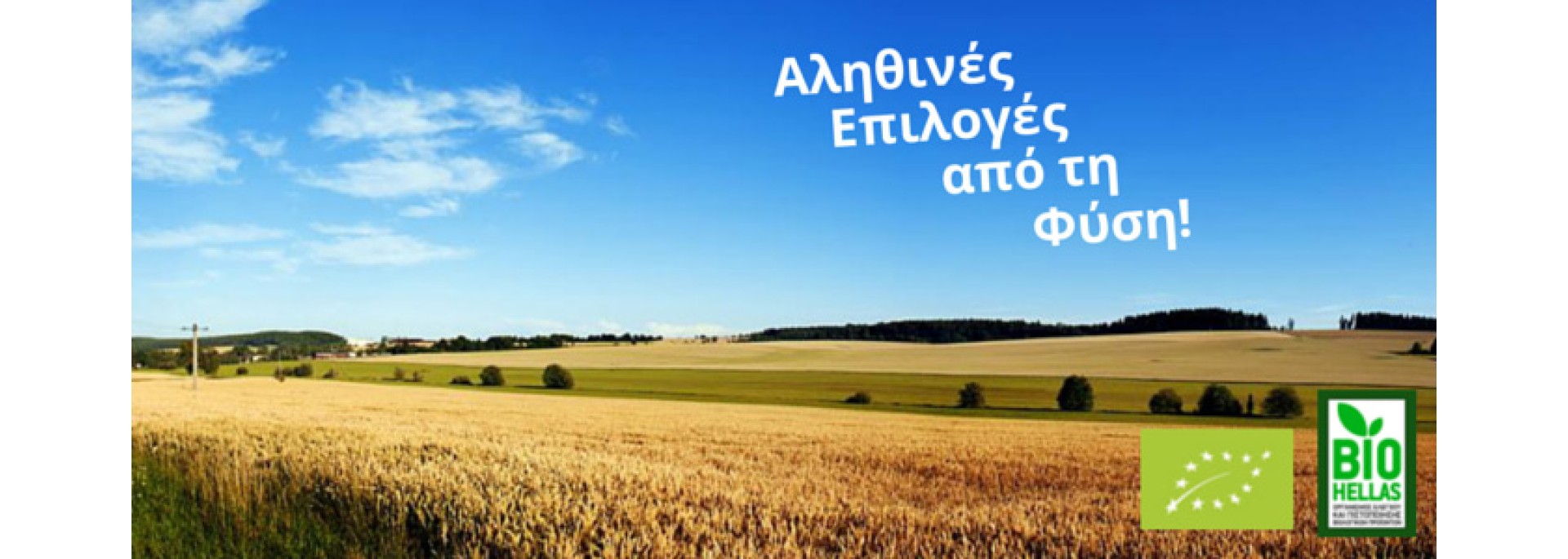 Biovita