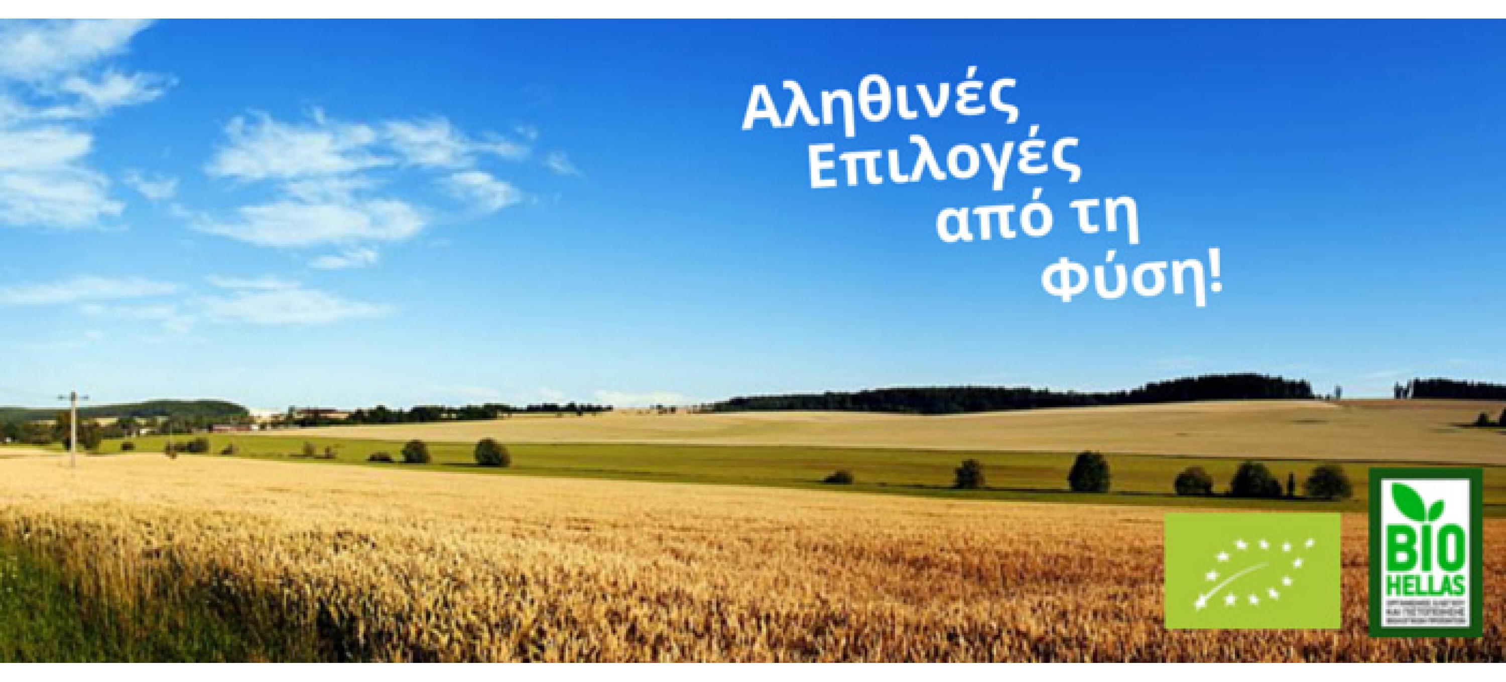 Το μαγαζί μας